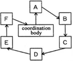 Proficiency Testing and Interlaboratory Comparisons: The Ultimate Guide